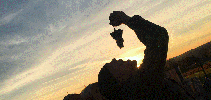 Apollo's Praise wines at Once Finger Lakes Regional Tasting Bar